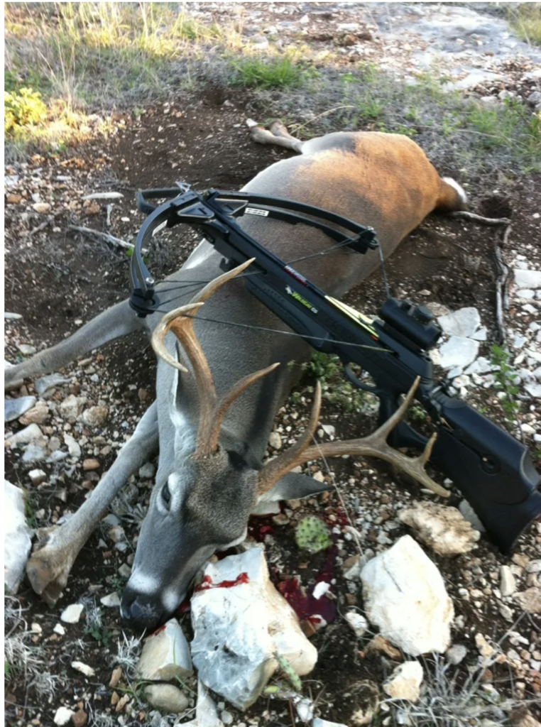 Screen Shot 2025 02 02 at 9 03 36 AM — Postimages