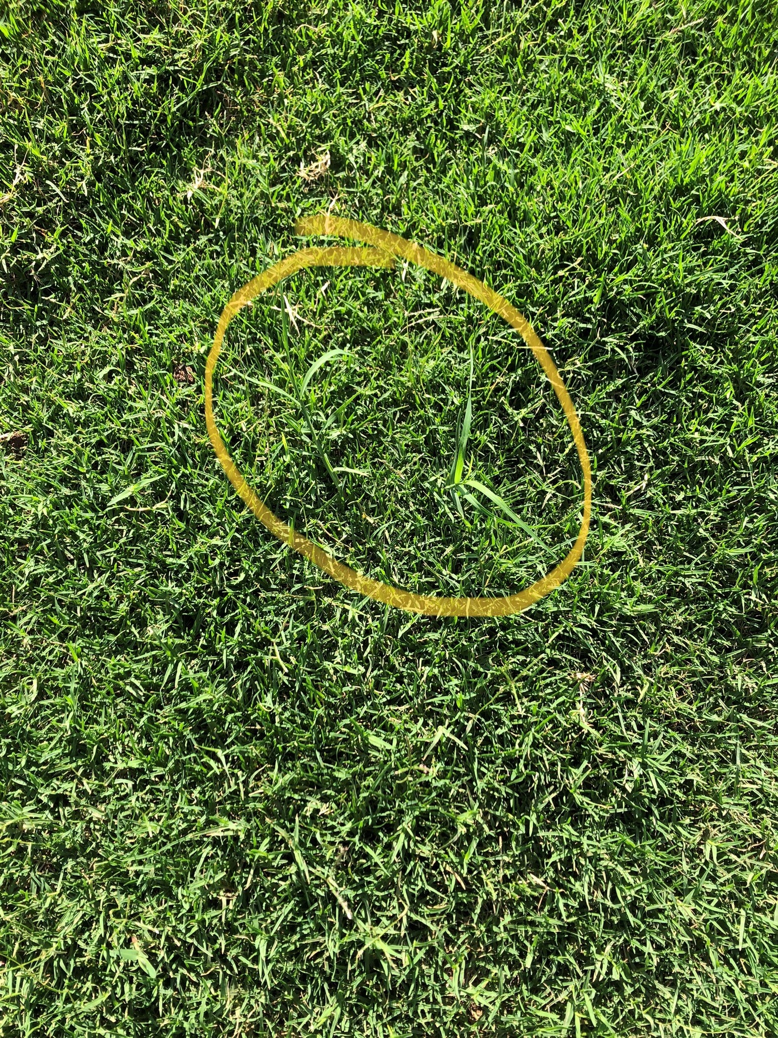 Grass — Postimages