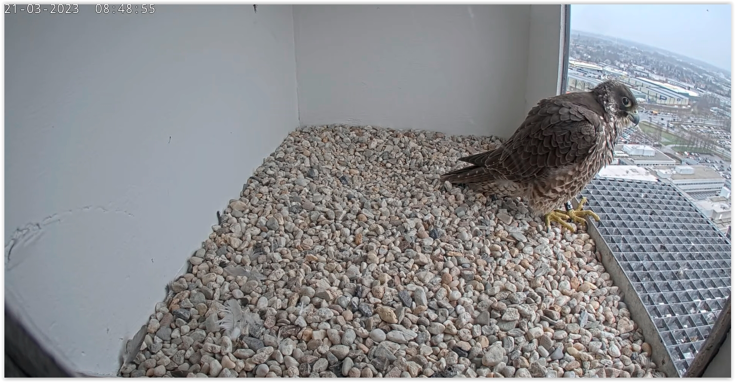 Screen Shot 03 21 23 at 08 49 AM 001 — Postimages