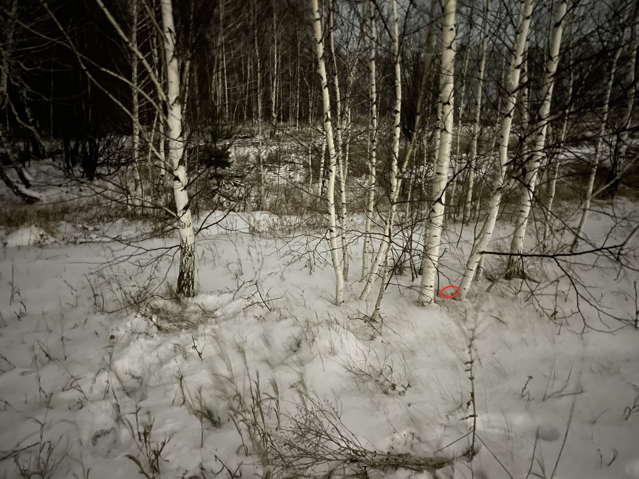 IMG 4663 — Postimages