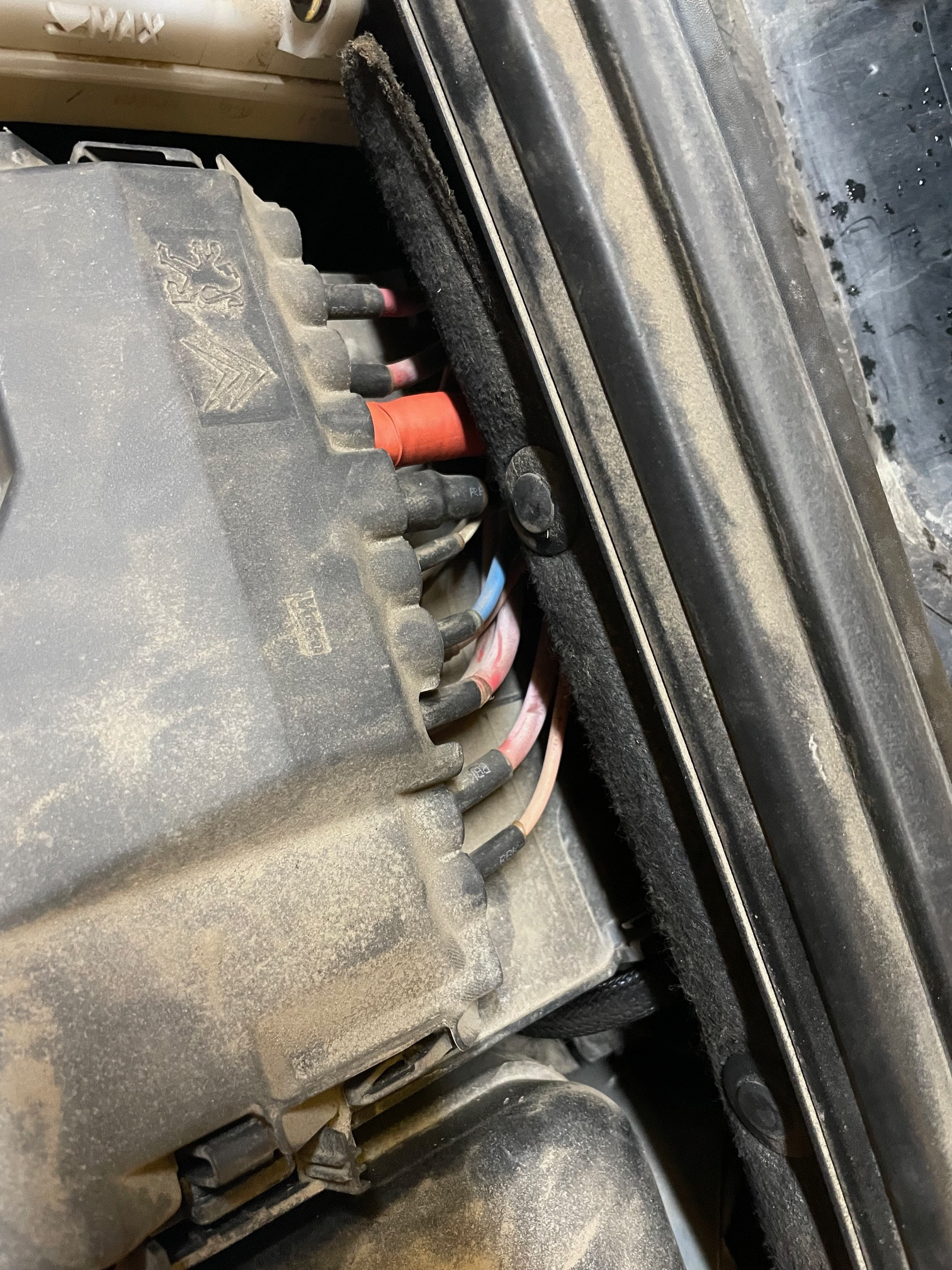 IMG 2907 — Postimages