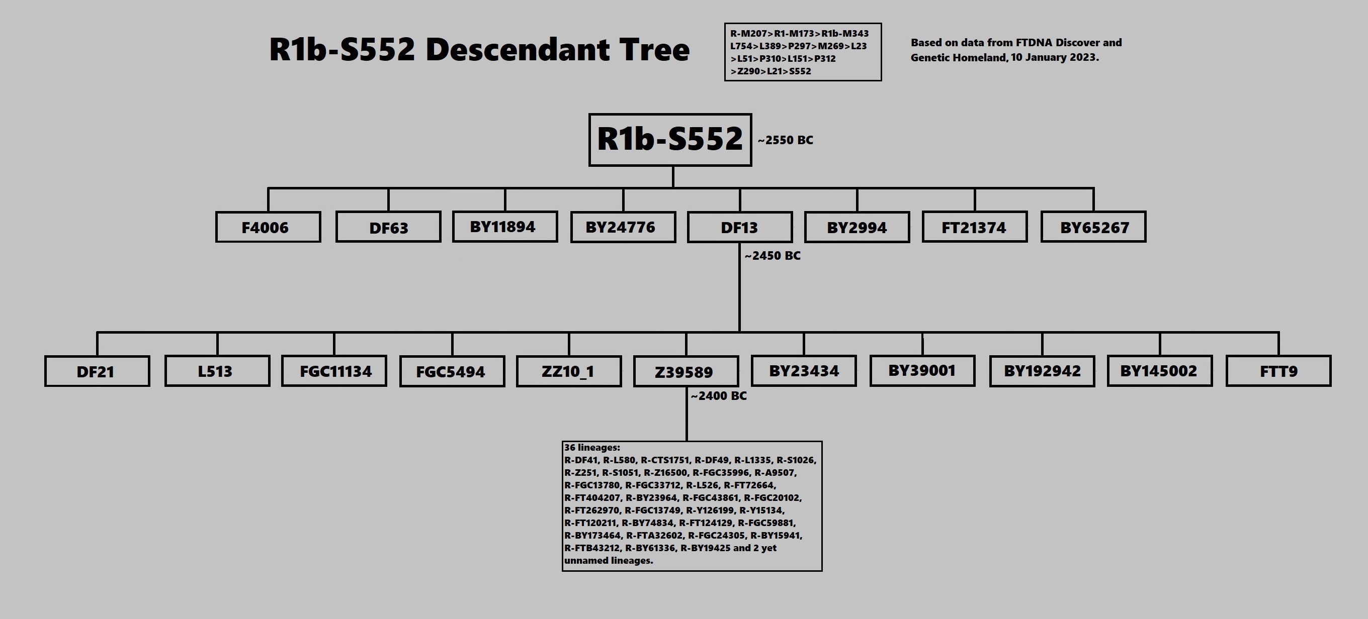 R1b S552 Descendant Tree — Postimages