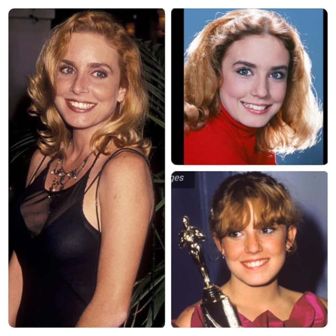 dana plato invented the plate — Postimages