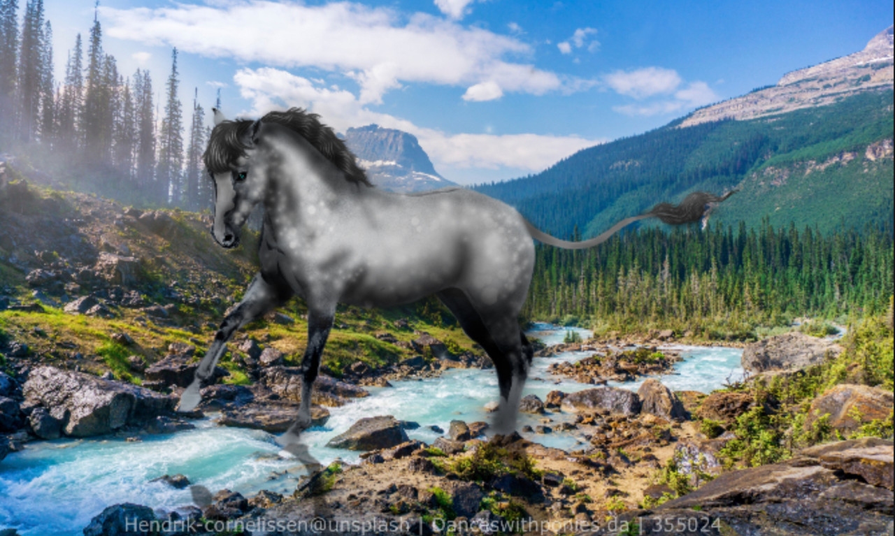 IMG 1751 — Postimages