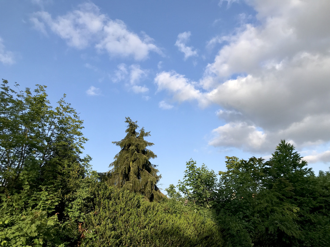 61263 B01 0607 4 FC9 A138 2 F044 C96619 C — Postimages