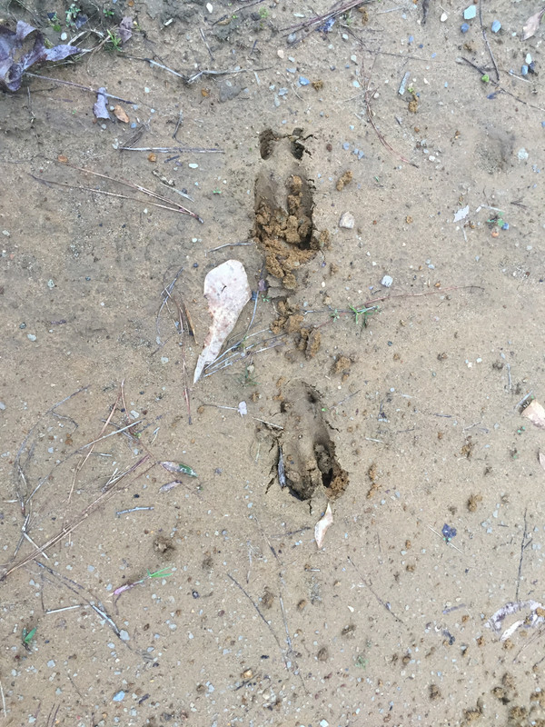 IMG 0482 — Postimages