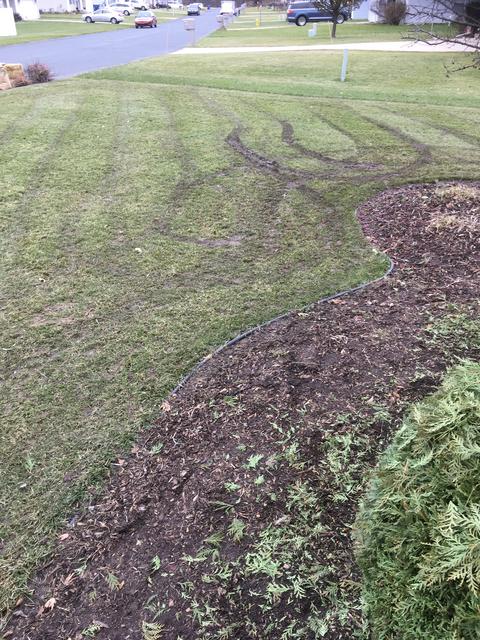 Let's see your lawn fail pics - heres mine | Lawn Care Forum