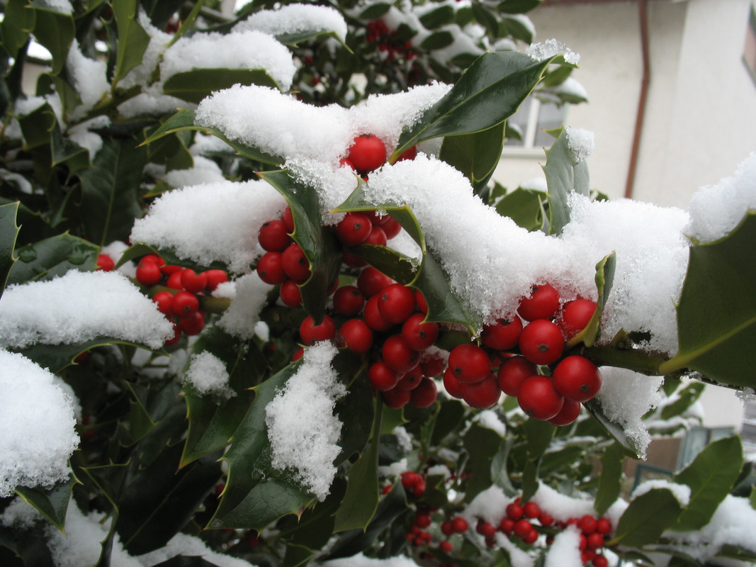 IMG 0637 F — Postimages