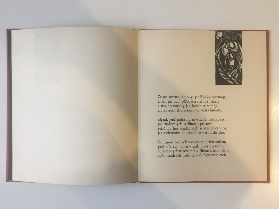 IMG 3337 — Postimages