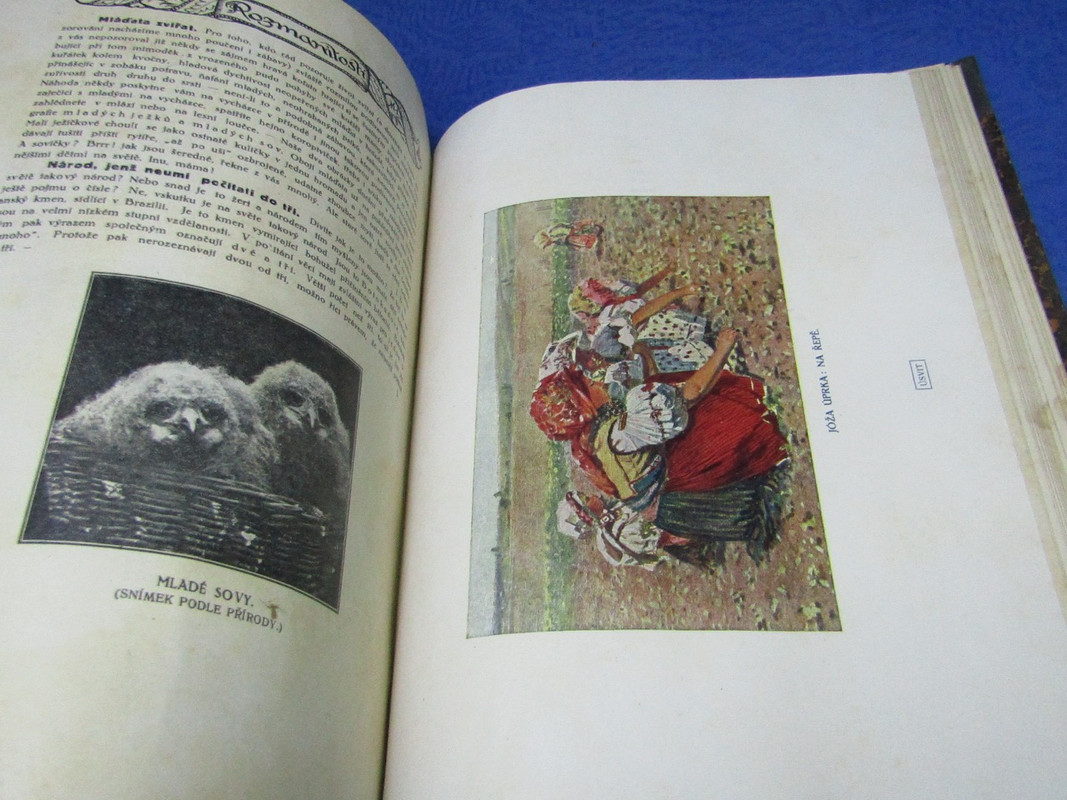 IMG 0168 — Postimages