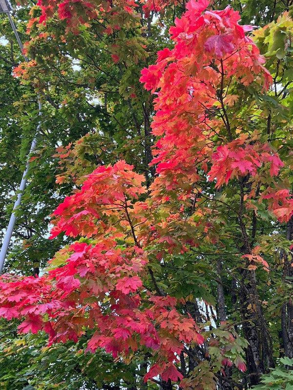 IMG 20230930 085157 163 — Postimages