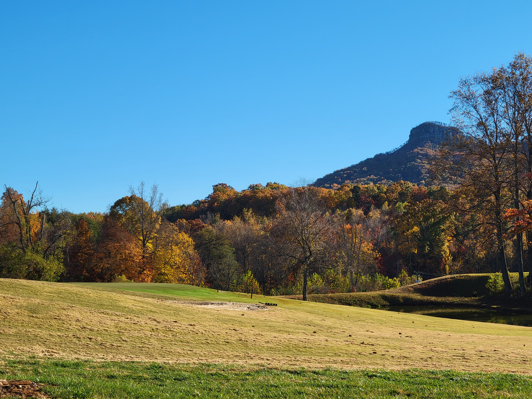 For our North Carolina Piedmont Triad golfers | Golf