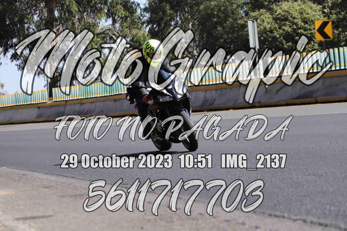 motgr IMG 2137 — Postimages