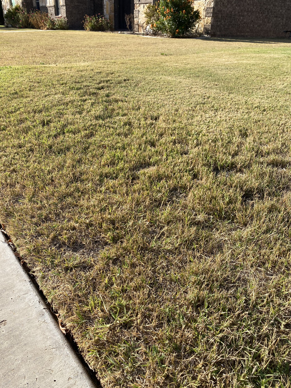 IMG 3394 — Postimages