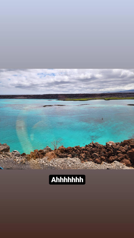 IMG 20221219 000107 035 — Postimages