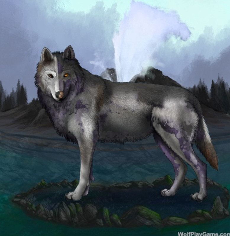 IMG 0410 — Postimages