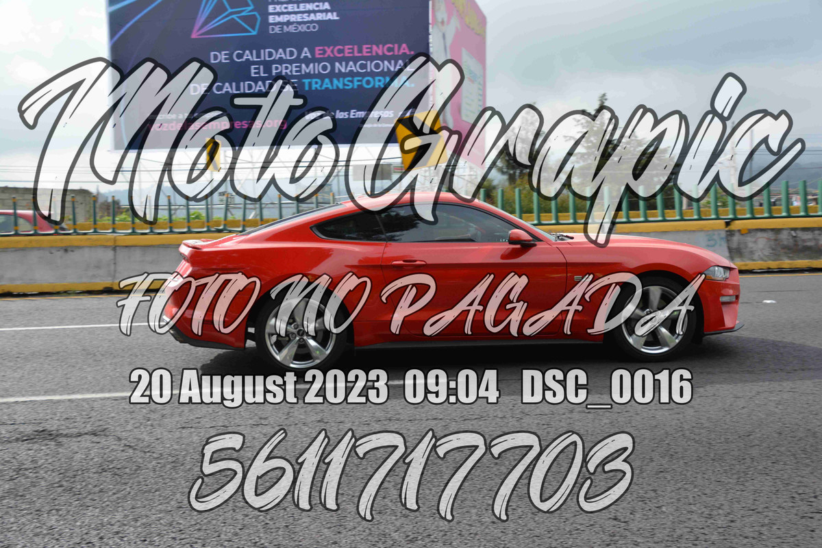 motgr DSC 0016 — Postimages