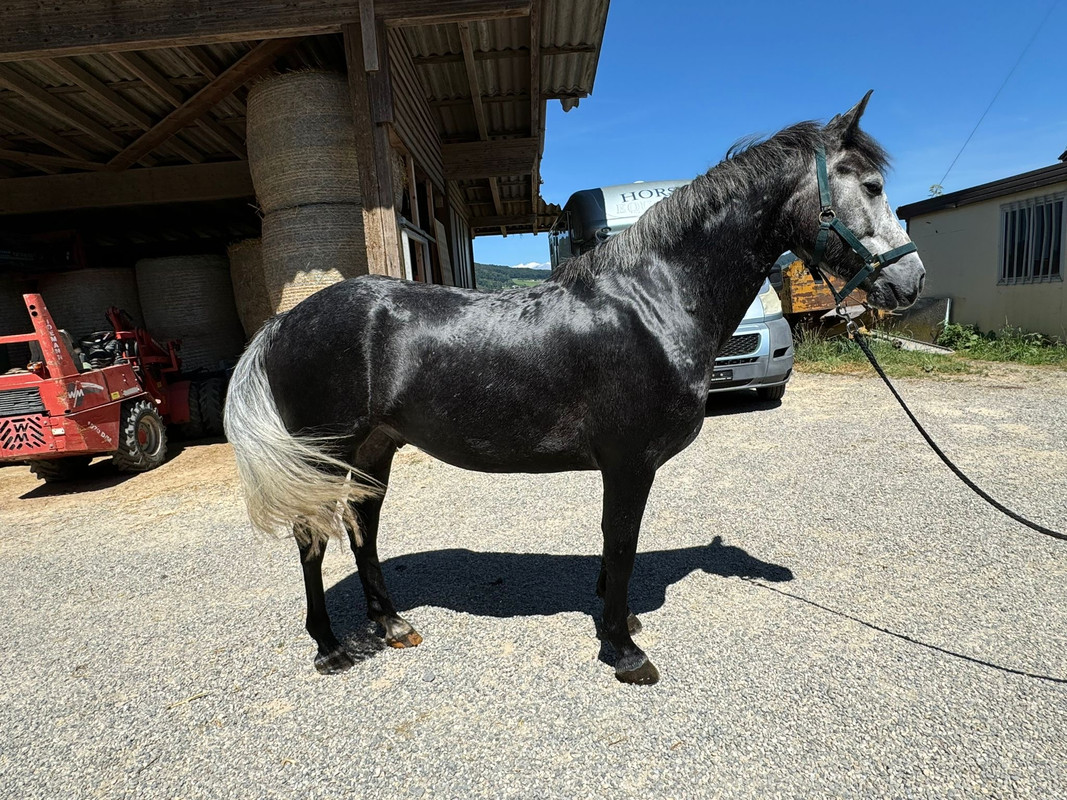 bee4b8c4 2a45 485a 8144 e0c4c7a1229c — Postimages