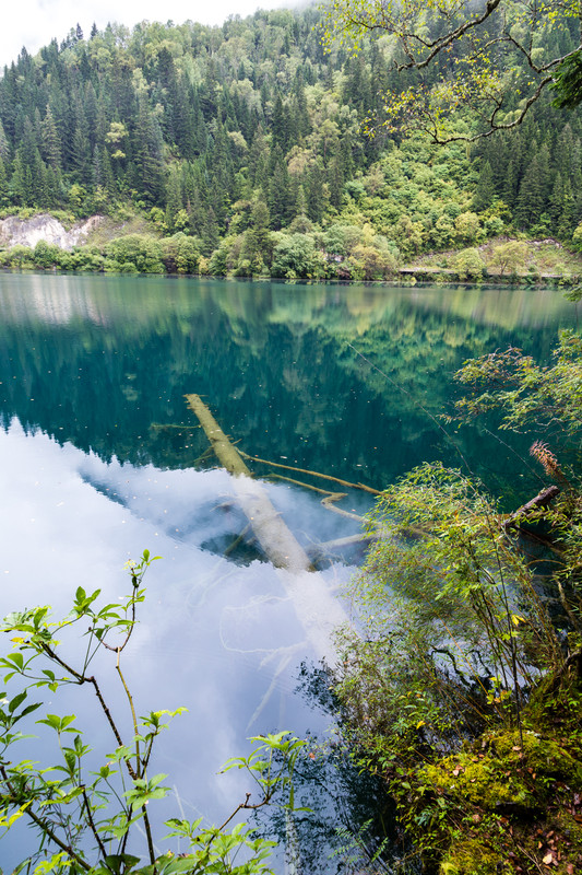 IMG 3582 Jiuzhaigou National Park Panda lake — Postimages