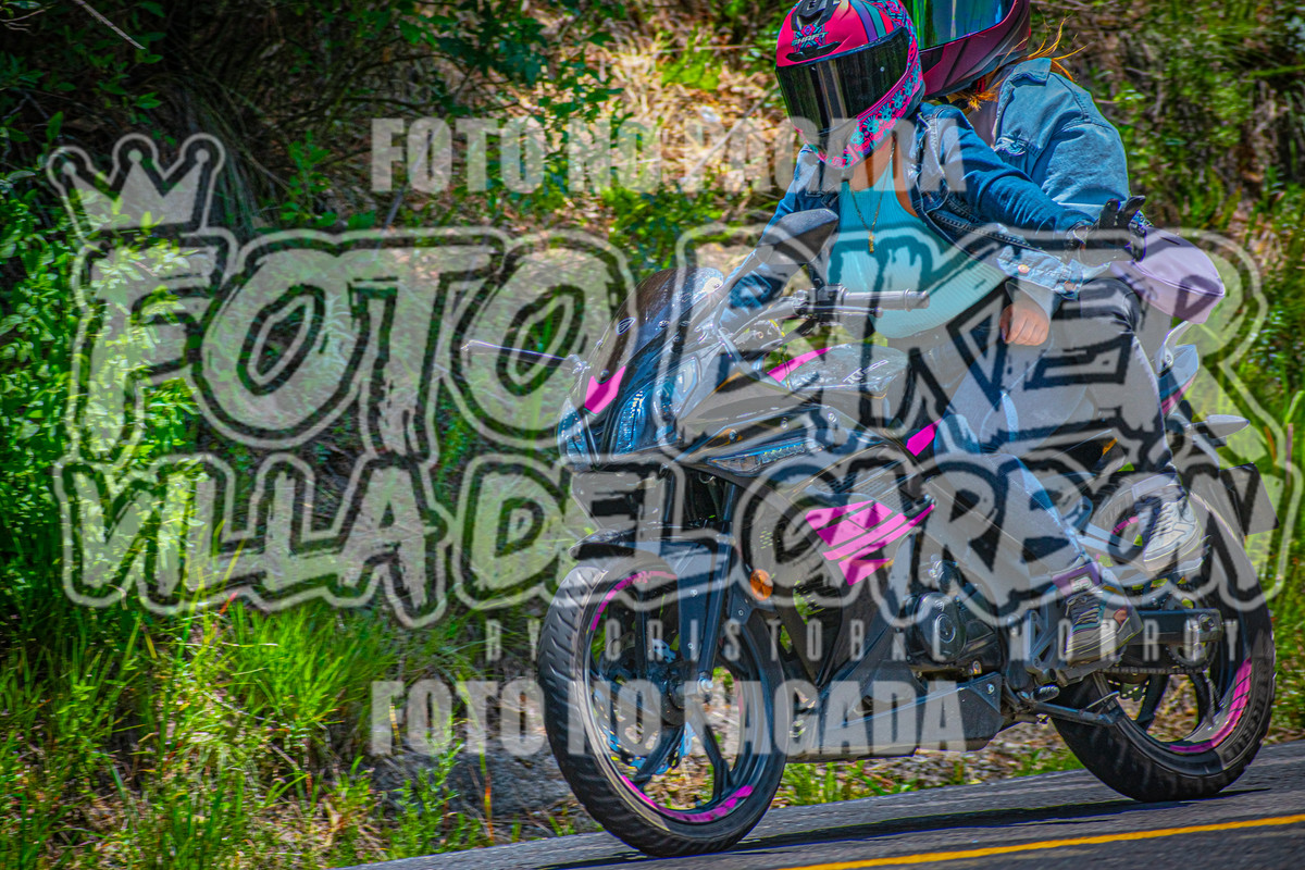 c1p2 100 — Postimages