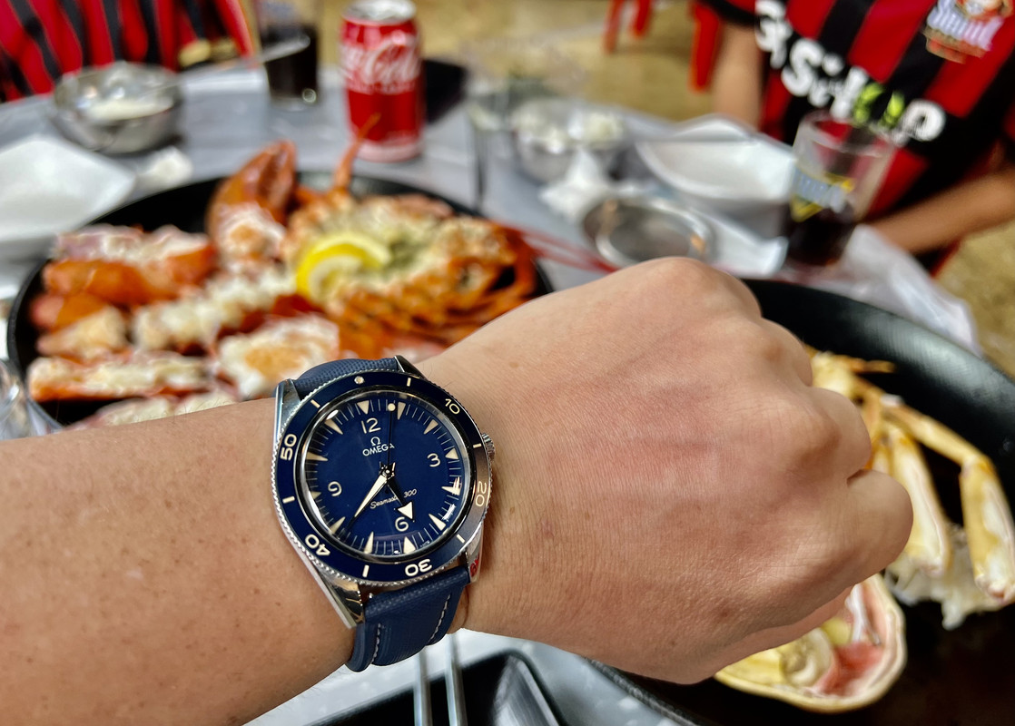 Artem sailcloth loopless + Omega style clasp | WatchUSeek Watch Forums