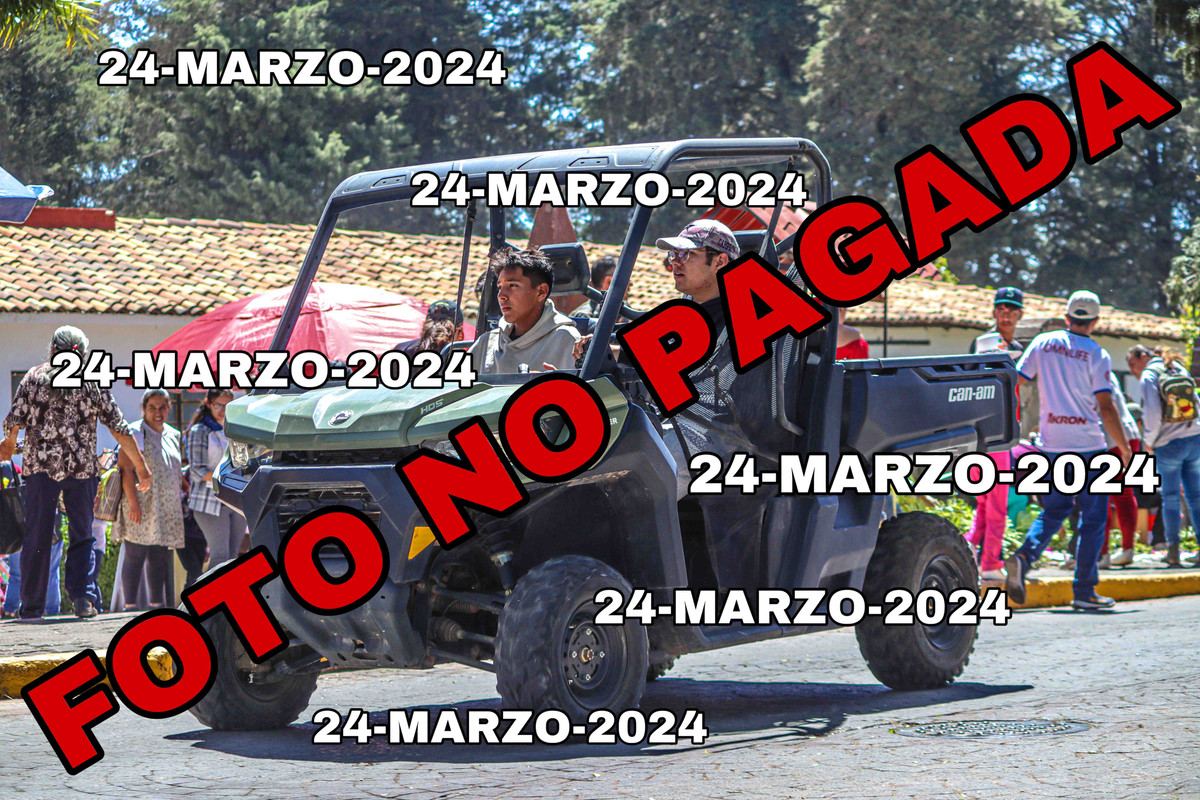 CV 290 — Postimages