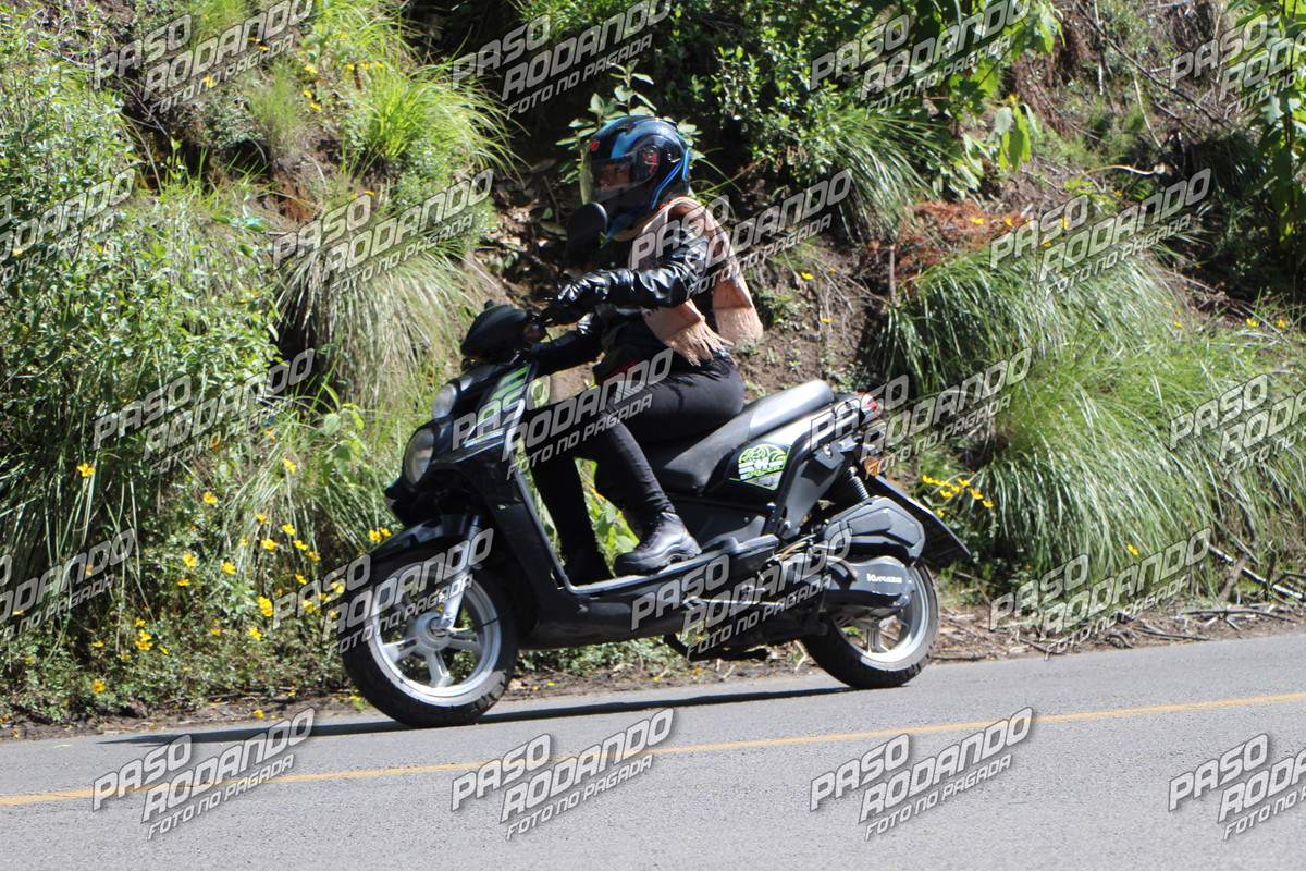 IMG 5643 wm 32142 300000000047 watermarked — Postimages