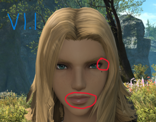 Updated Benchmark - Female Highlander Face 1 Mouth 3 and Eye Shape 3 ...