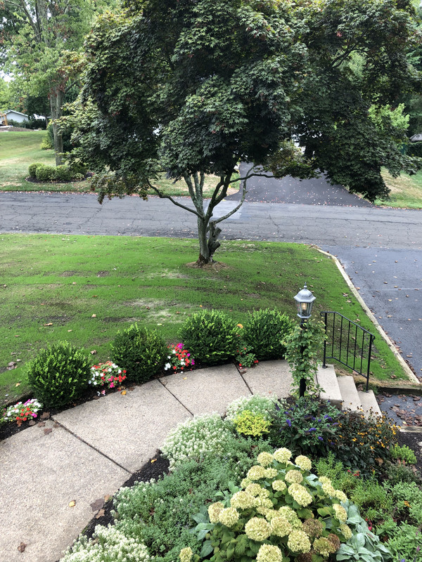 79439 F62 AC47 4498 A3 BE E5 A2 CD1 D2 AEC — Postimages