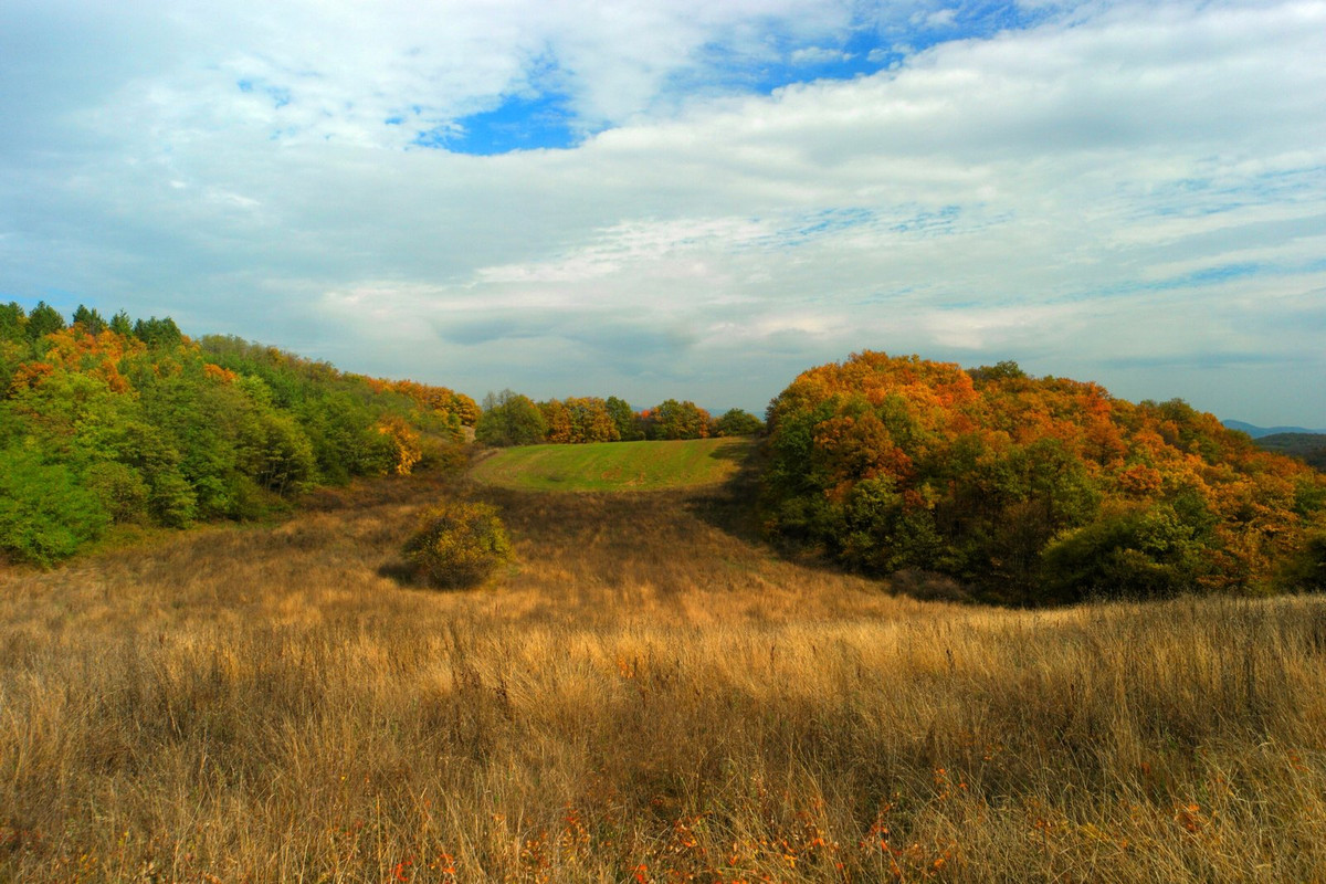 SAM 6812 — Postimages