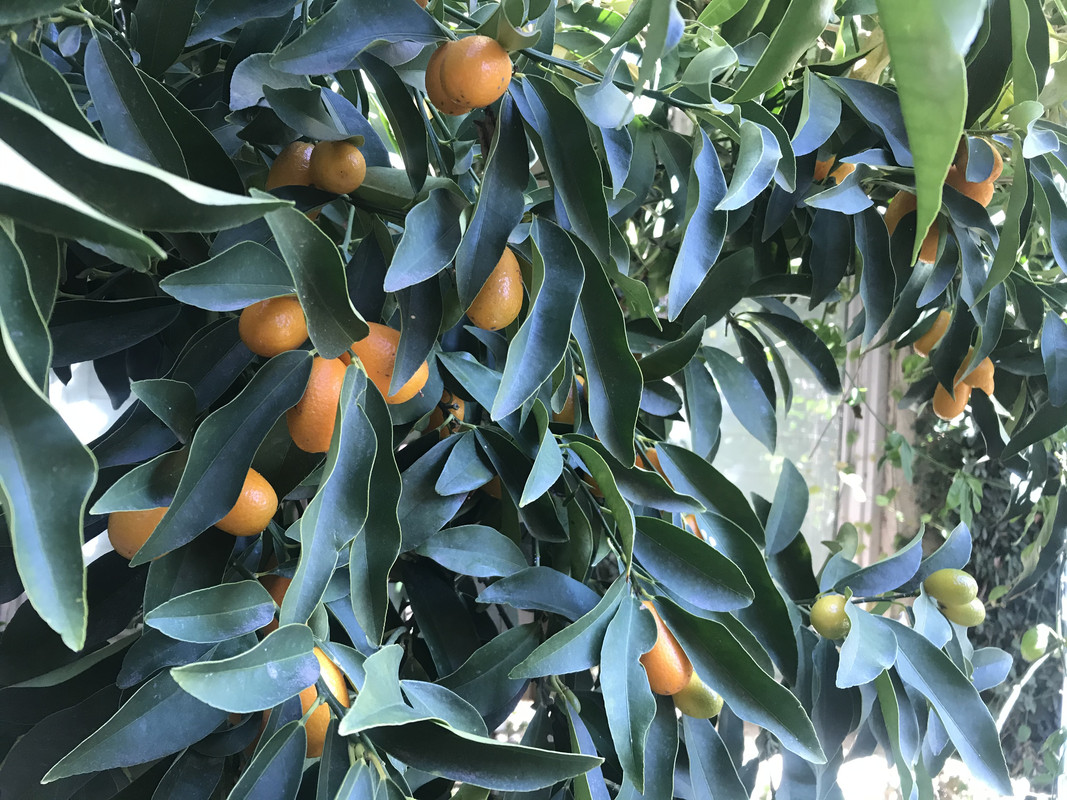 6037 EF1 B B4 EF 4 B92 9 BEF B1 D79 E6 CC3 BD — Postimages