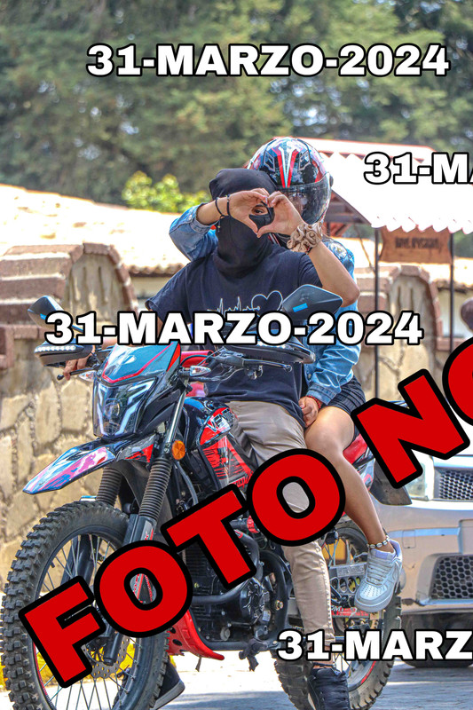 CV 1216 — Postimages