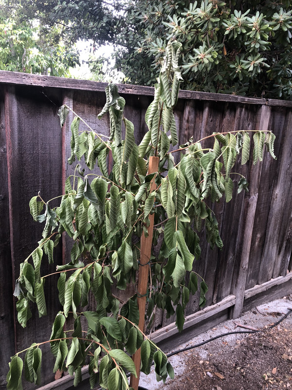 IMG 6063 — Postimages