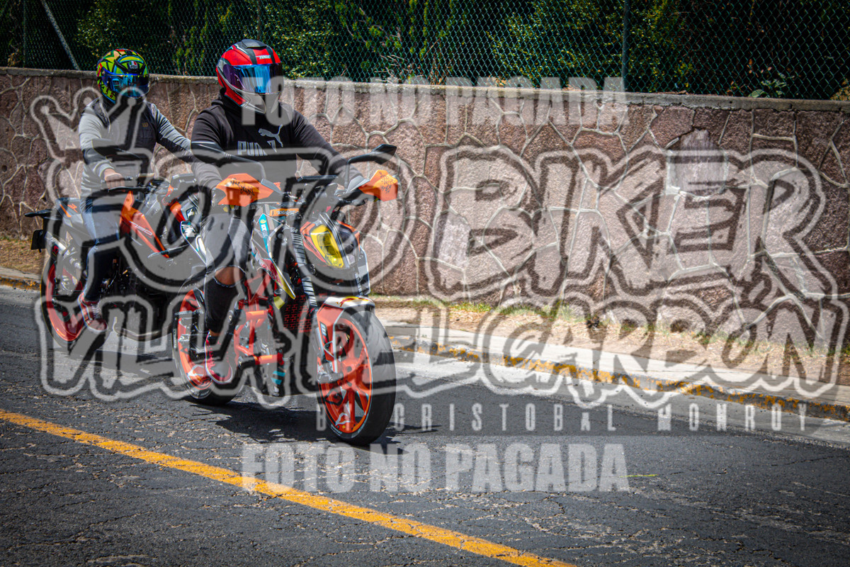 C 113 — Postimages