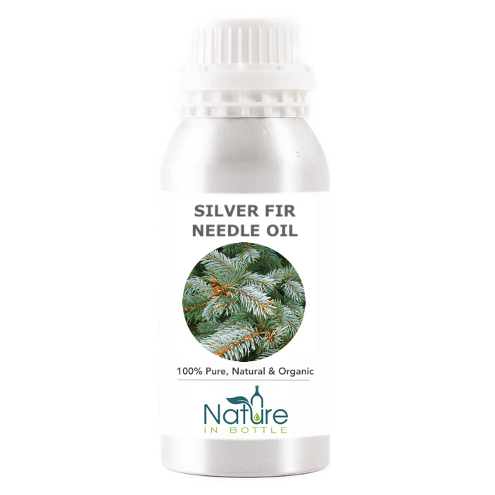 Silver Fir Needle Essential Oil Organic - Abies Alba Needle