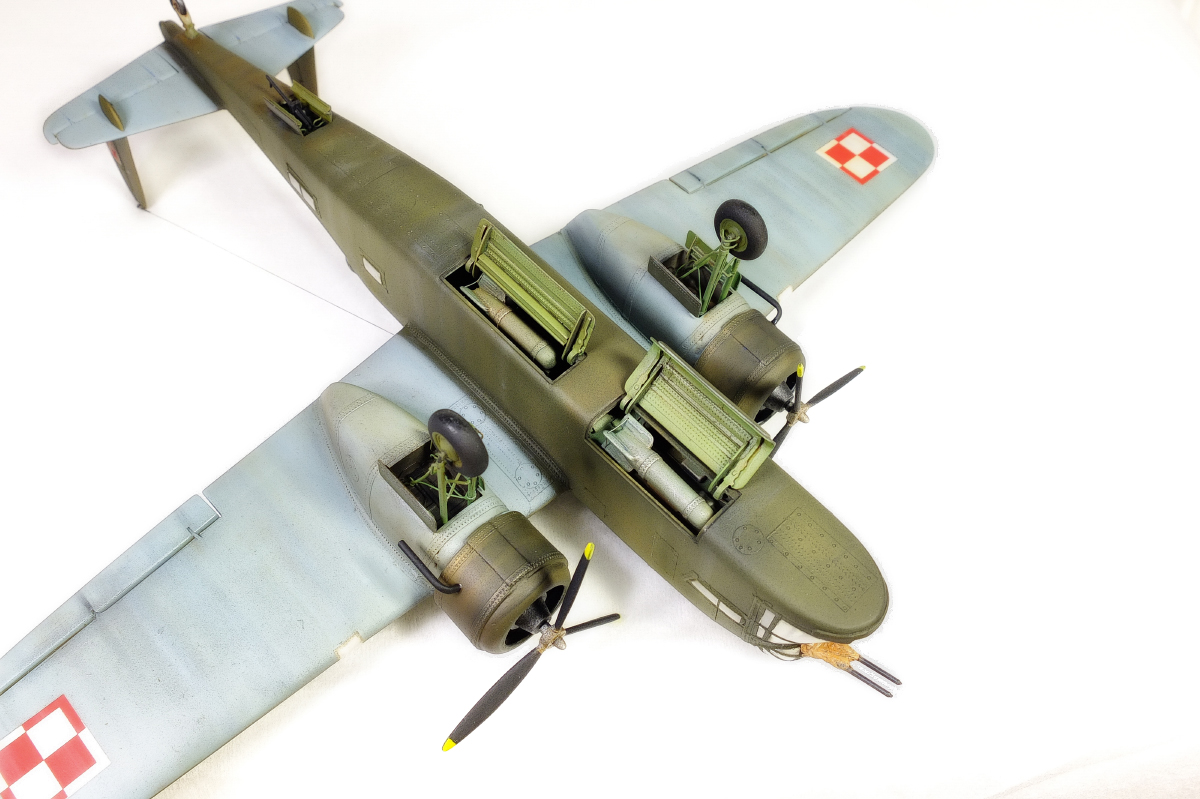 LWS-6 ZUBR - Ready for Inspection - Aircraft - Britmodeller.com