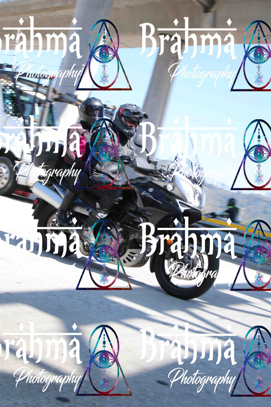 IMG 3308 — Postimages