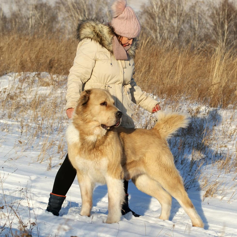 IMG 20220106 150253 594 — Postimages