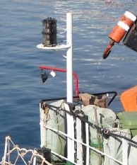 YORK- IRISH - SHIREMAN