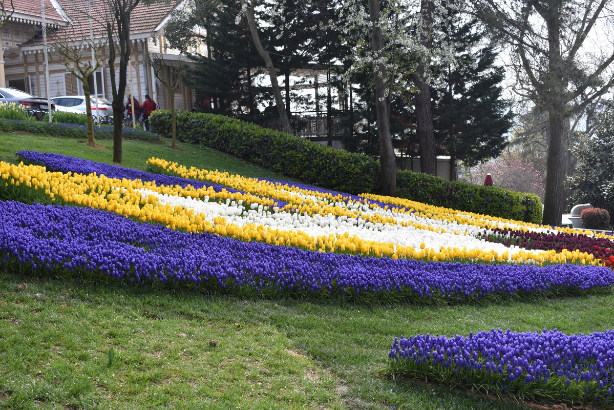 DSC 0522 — Postimages