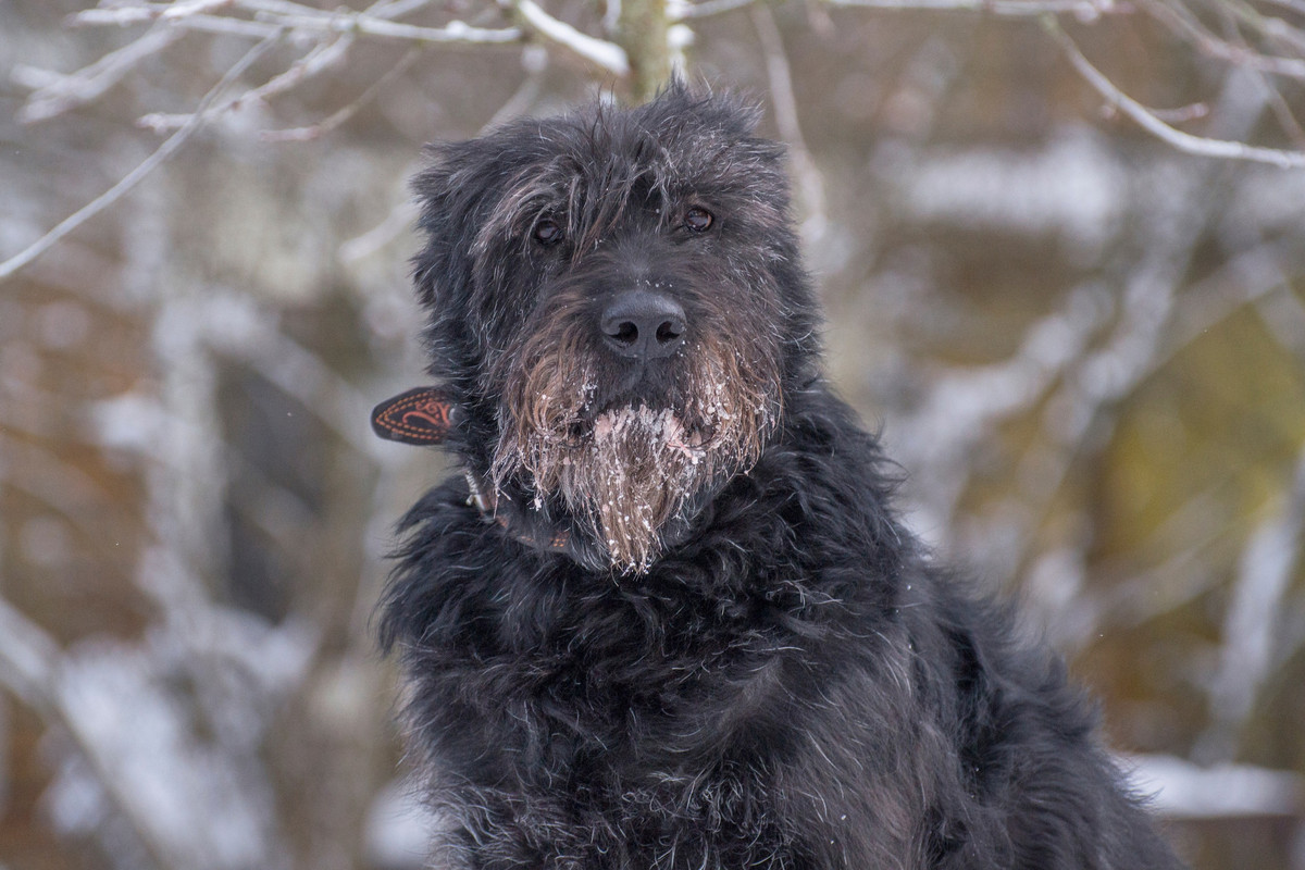 3481 D966 984 F 43 DC BE19 46 C9 B42 C140 E — Postimages