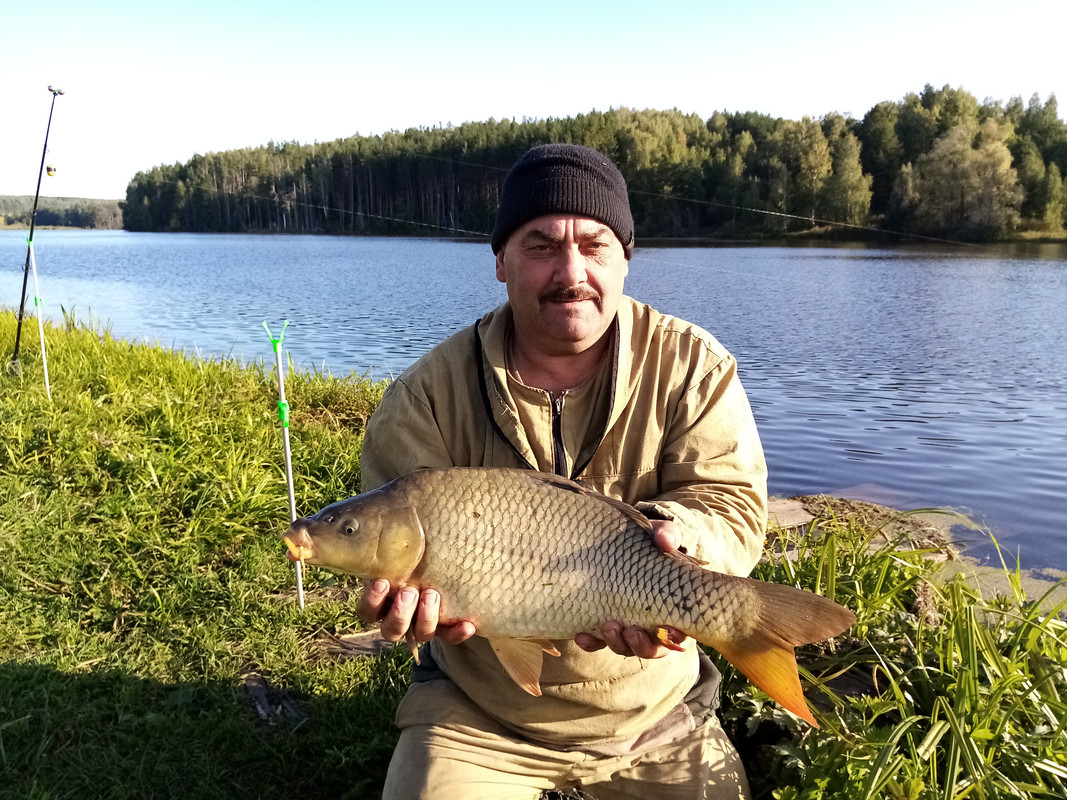 IMG 20190904 080327 — Postimages