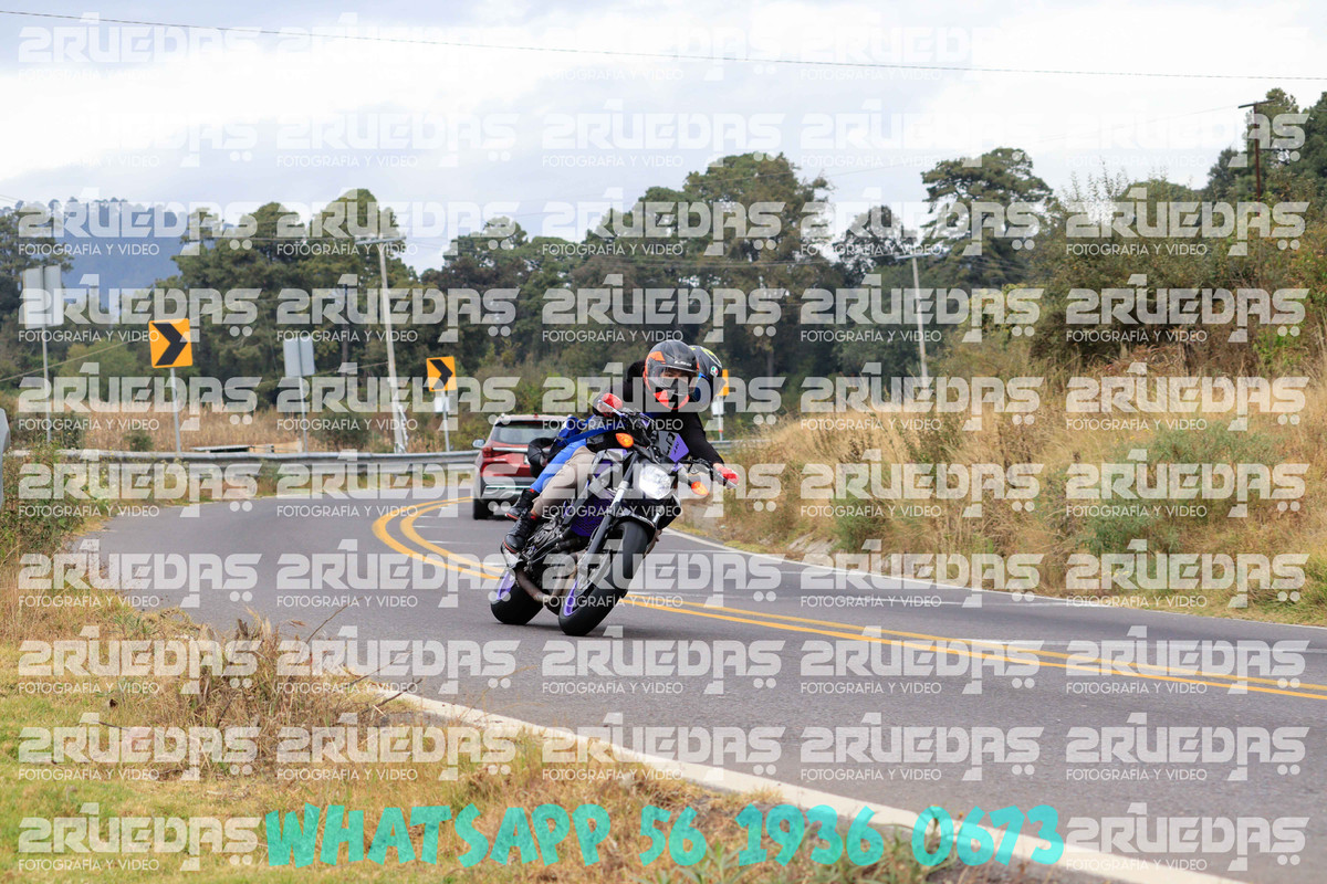 MG 0898 — Postimages