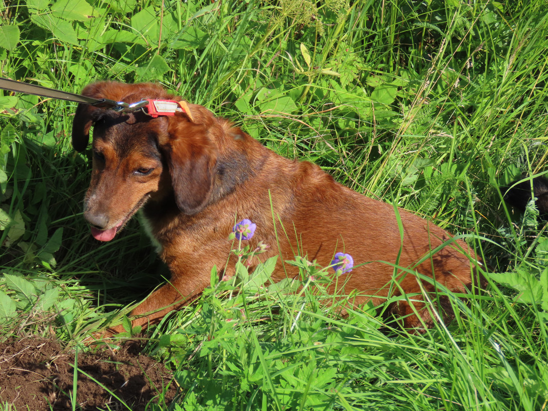 IMG 0490 — Postimages