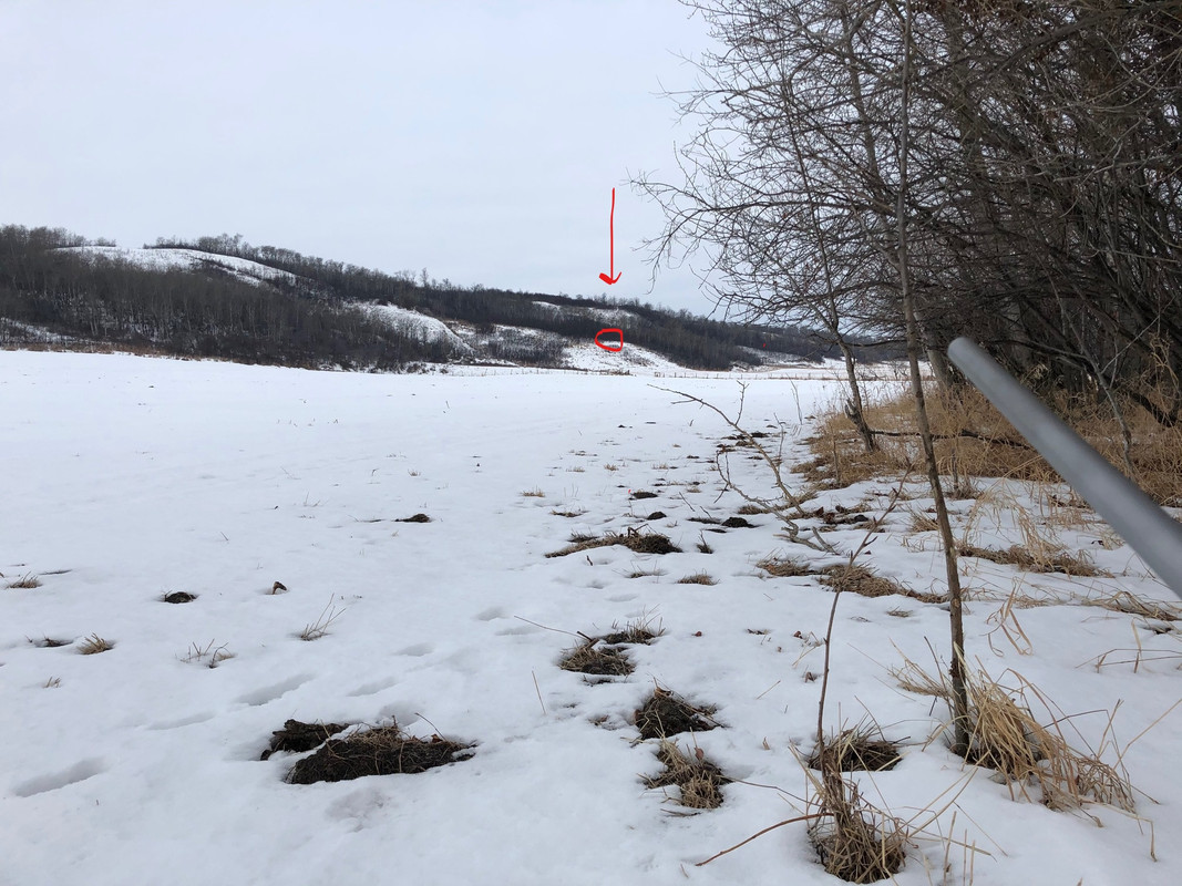 Inked IMG 0352 LI — Postimages