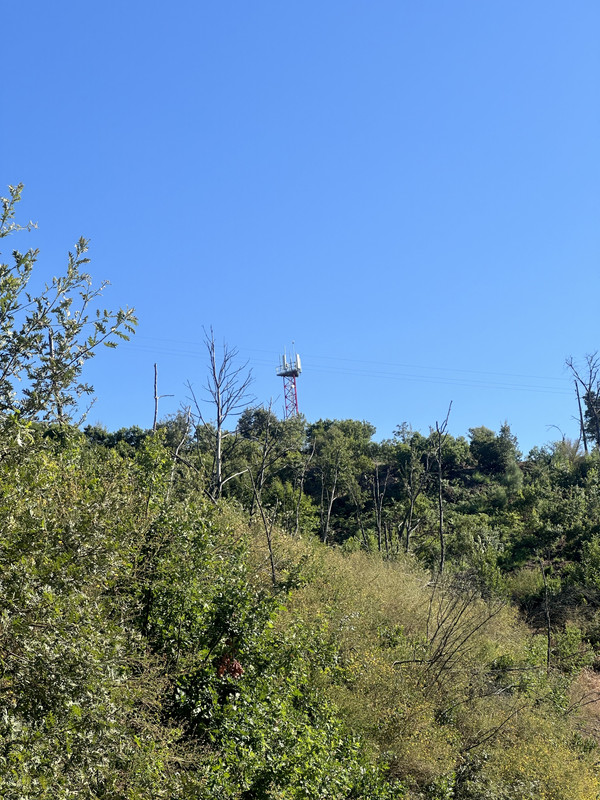 IMG 1529 — Postimages