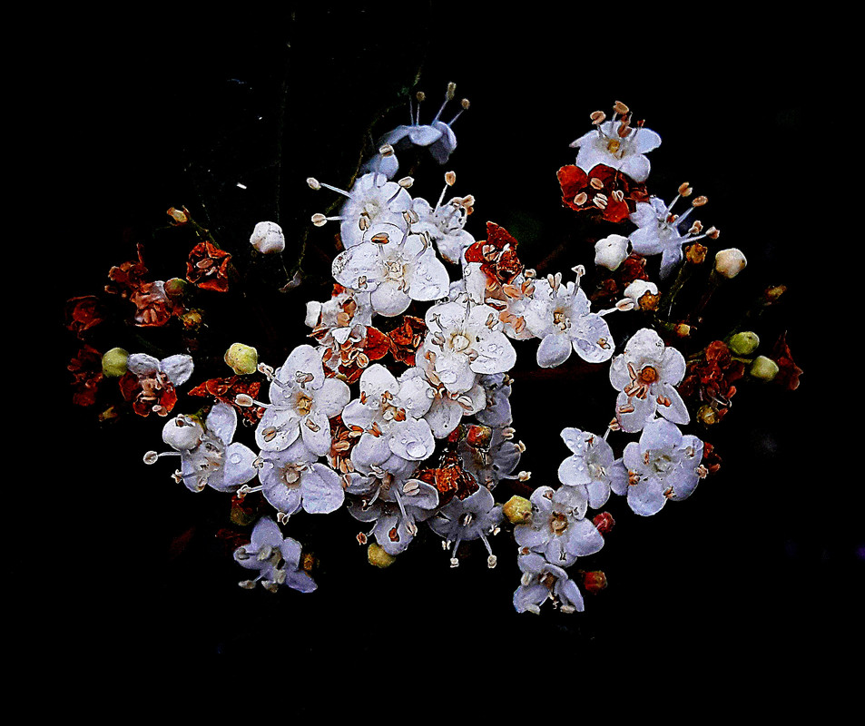 20190119 03 2218 — Postimages