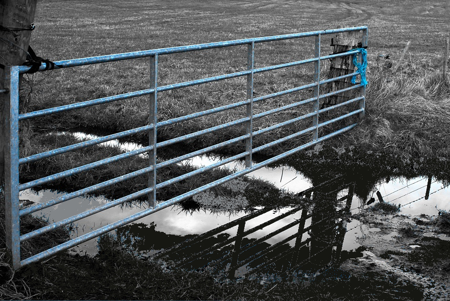 Post Processing Challenge #413 - PentaxForums.com