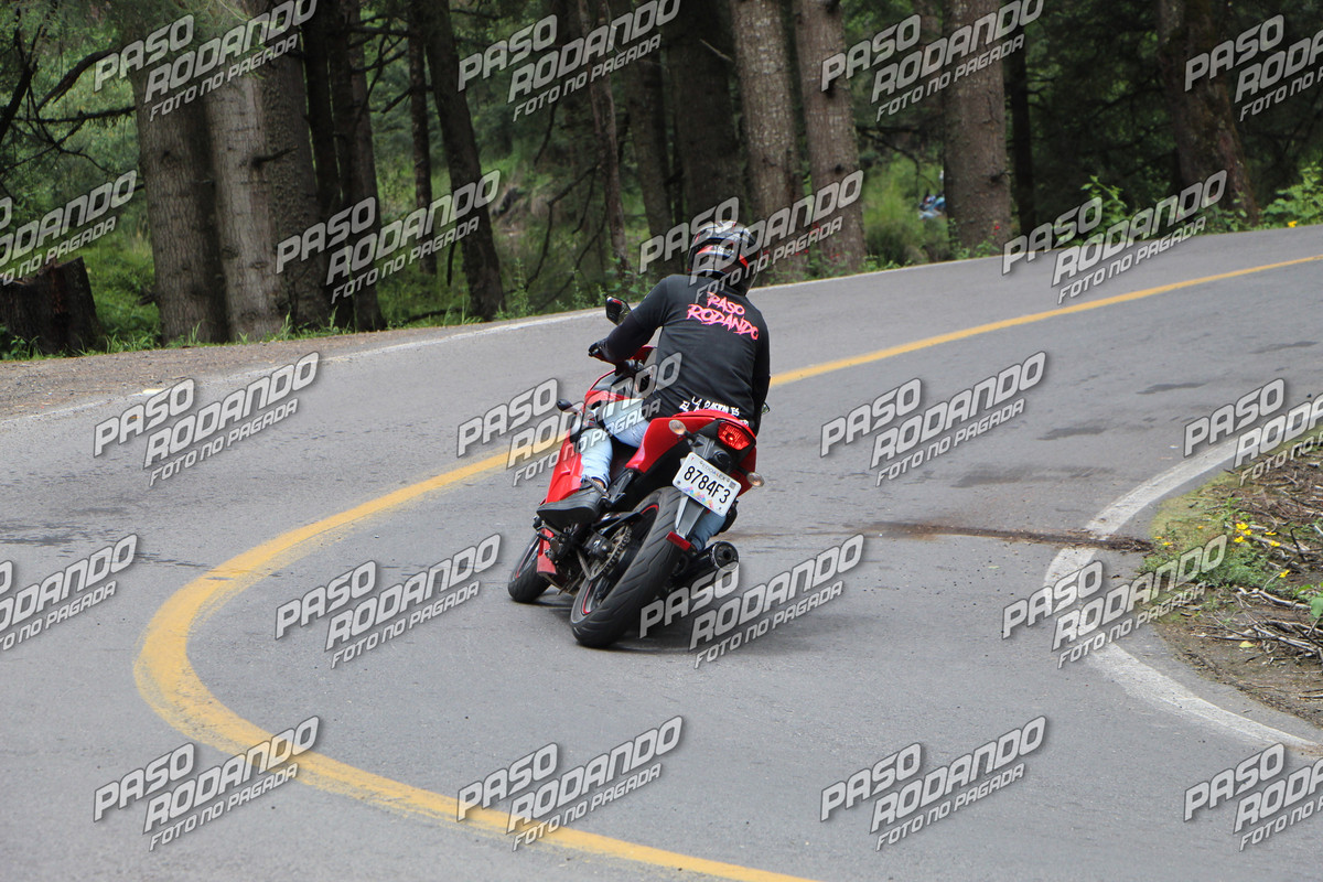 IMG 8253 wm 3274998 8 watermarked — Postimages