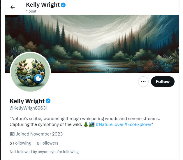 Twitter账号购买 | 推特老号小号出售, 批发 | 专业的Twitter账号买卖平台 - Z2U.com